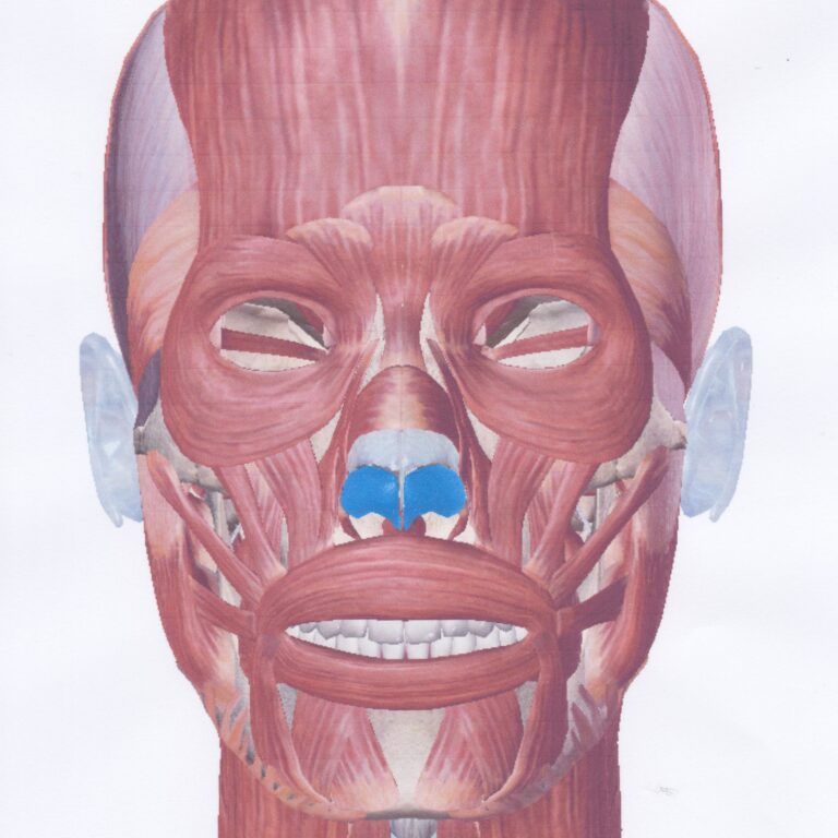 How to Make Your Nose Look Smaller With Face Exercises